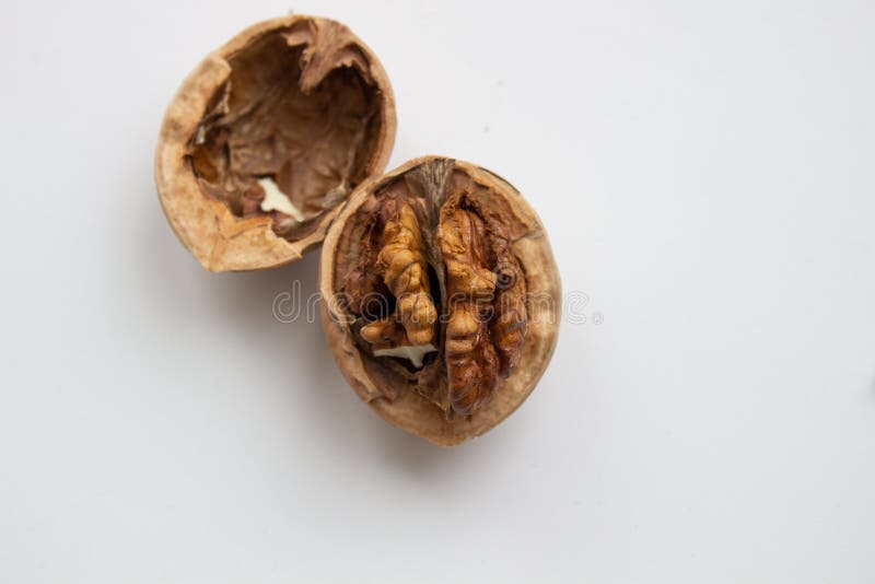 Walnut Close - Up Isolated on a White Background Stock Photo - Image of ...