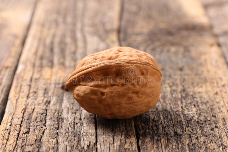 Walnut stock photo. Image of food, healthy, fruit, nutshell - 76921500