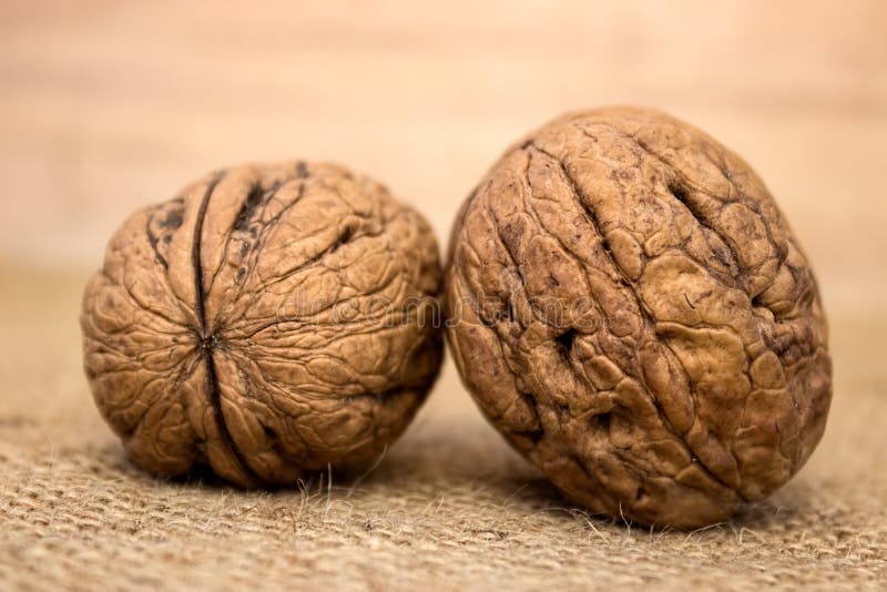 Walnut stock image. Image of closeup, hard, nuts, nutty - 30957621