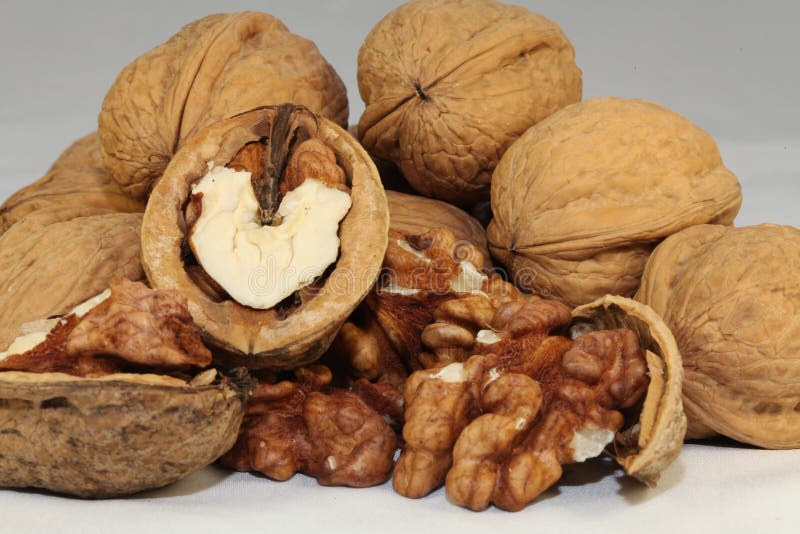Walnut stock photo. Image of closeup, heap, crop, fall - 55147652
