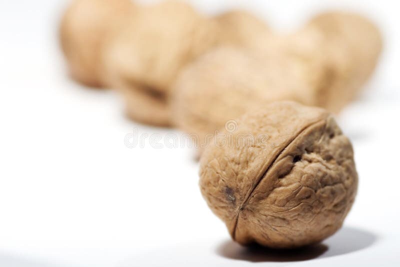 Walnut in closeup stock image. Image of flavor, party - 3794557