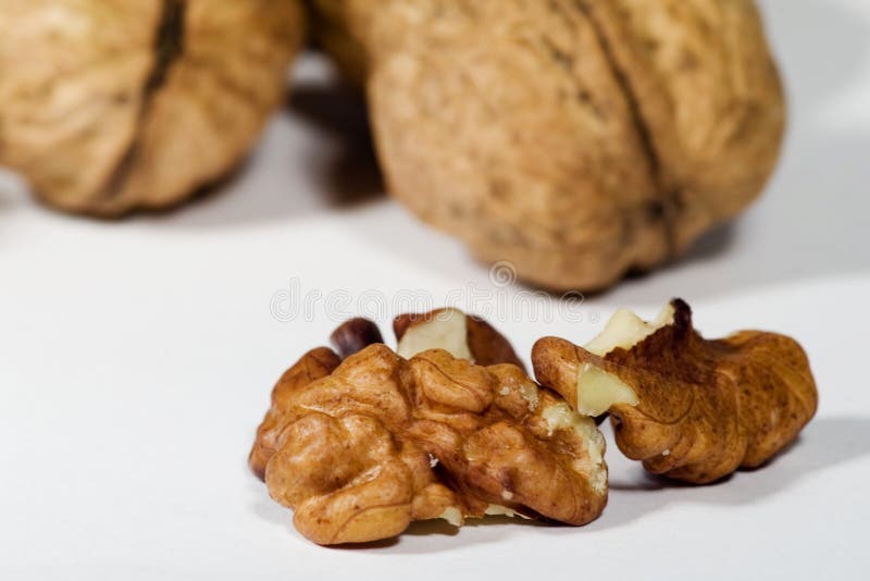Walnut in closeup stock photo. Image of seasonal, open - 3794596