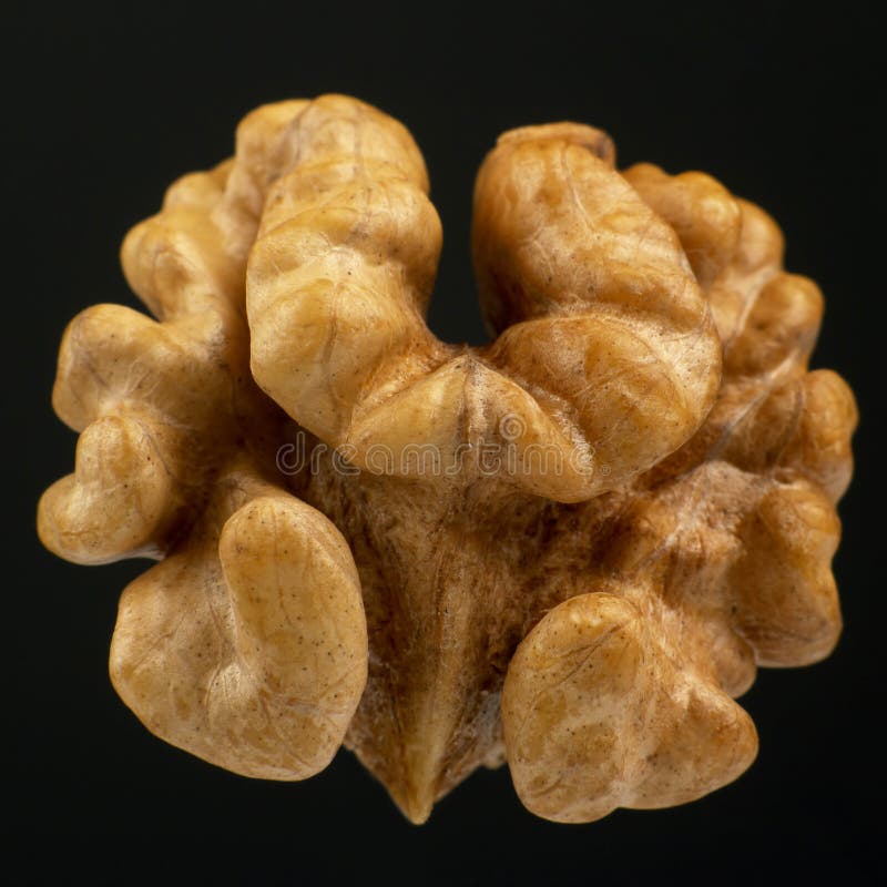 Walnut Closeup on a Black Background. Healthy and Protein Food Stock ...