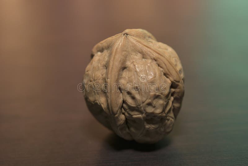 Walnut Closeup, Wall Nut Macro Stock Photo - Image of produce, closeup ...