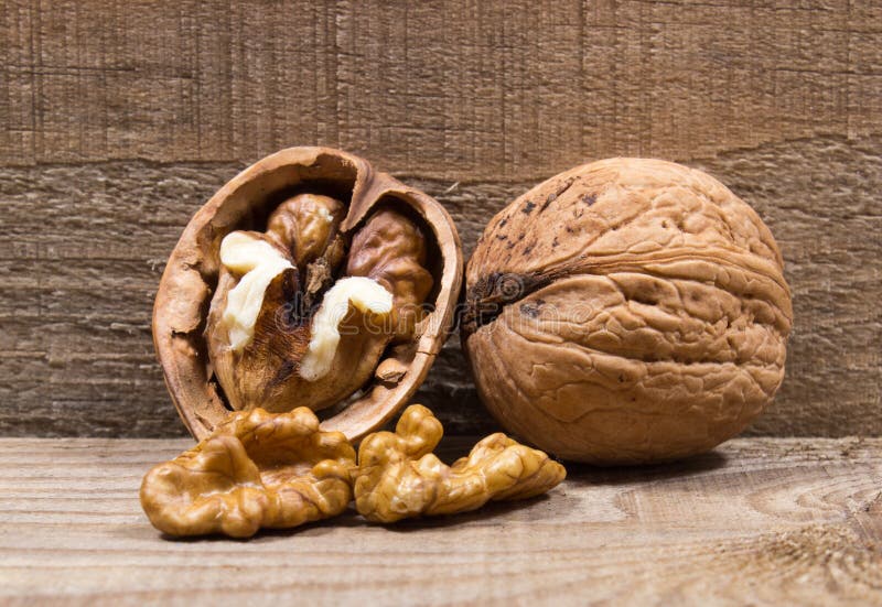 Walnut - closeup. stock image. Image of pecan, delicious - 61555489