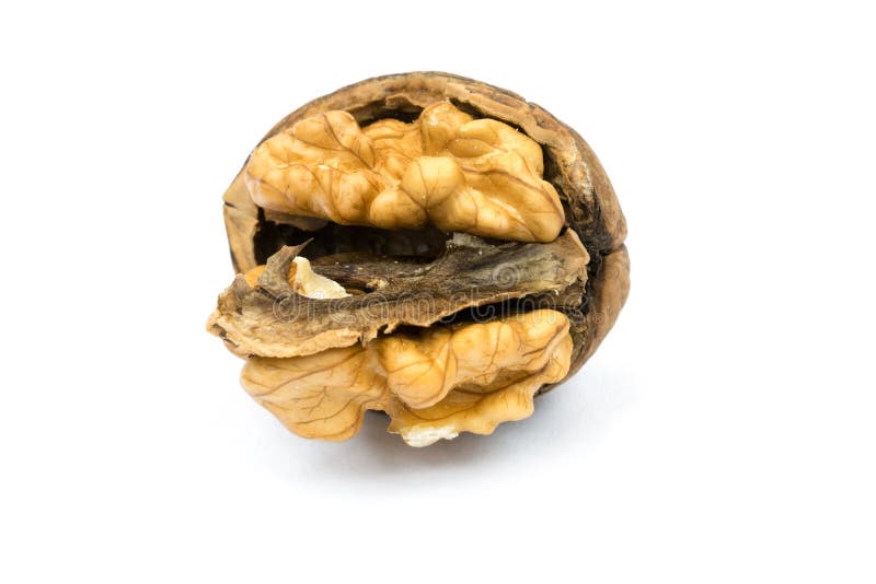 Walnut Cracked Open Isolated White Background Stock Photo - Image of ...