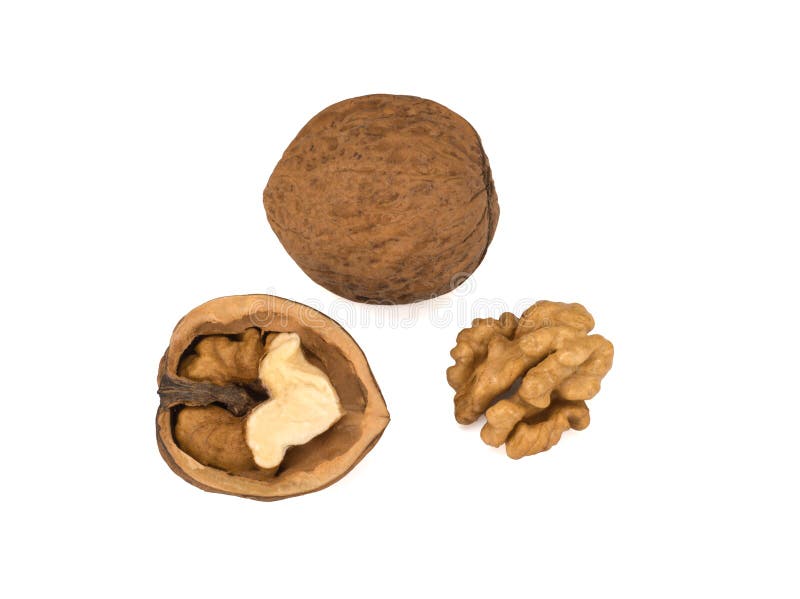 162 Walnut Parts Stock Photos - Free & Royalty-Free Stock Photos from ...