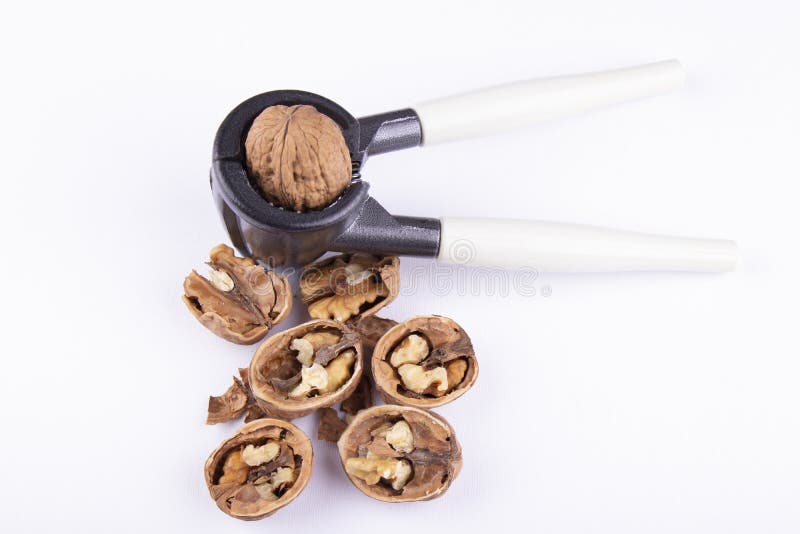 Walnut Cracker and Delicious Walnuts Stock Image - Image of royalty ...
