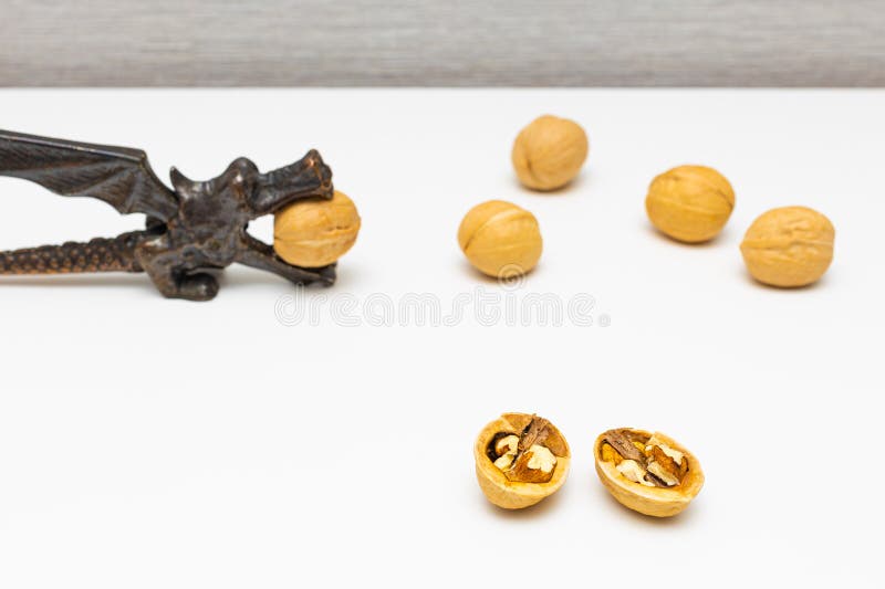 Walnut Cracker Photographed Against a White Background. Stock Image ...