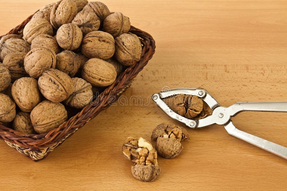 Walnut crusher stock image. Image of ingredient, brown - 28861271