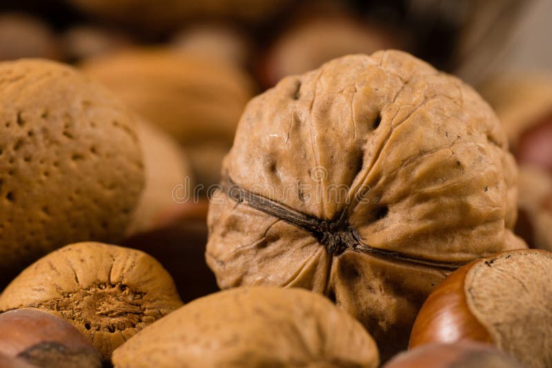Walnut stock photo. Image of fruits, almonds, ingredient - 66331150