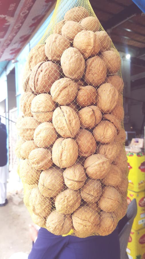 Walnut dry fruits stock photo. Image of stall, nature - 169965058