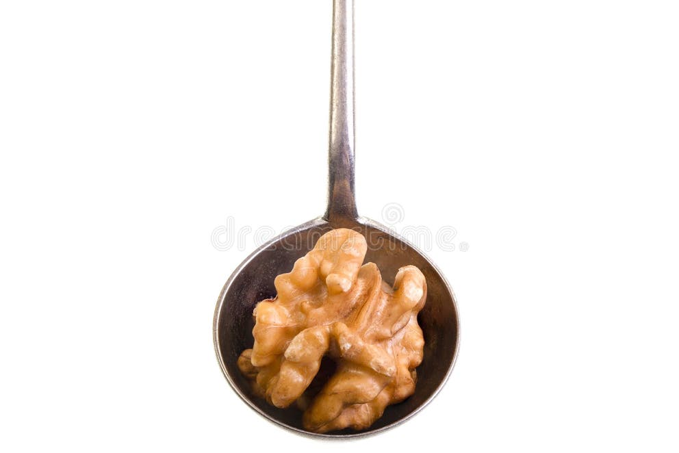 Walnuts on Spoon stock image. Image of hardwood, walnuts - 256083673
