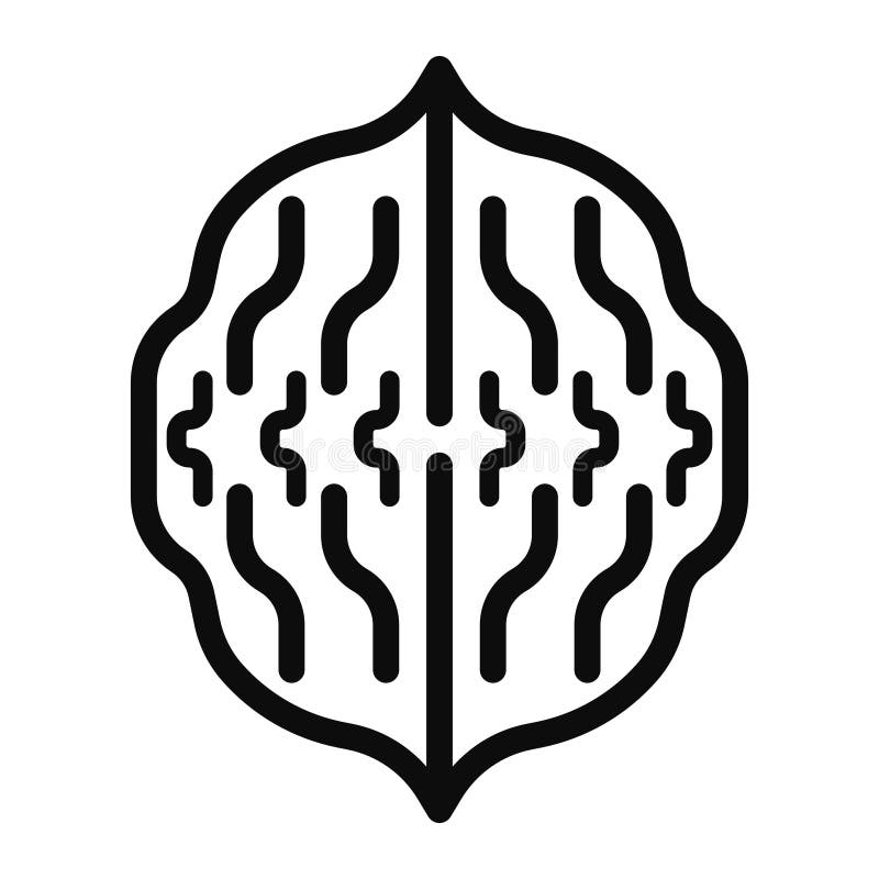 Walnut Line Drawing Stock Illustrations – 963 Walnut Line Drawing Stock ...