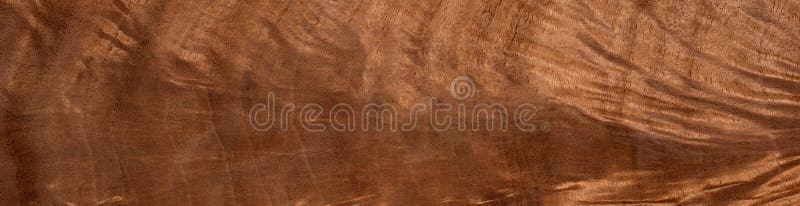 Walnut Feather Wood Texture Surface in Close Up Stock Photo - Image of ...