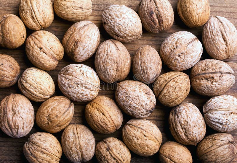 Walnut stock image. Image of rustic, closeup, table - 107828439