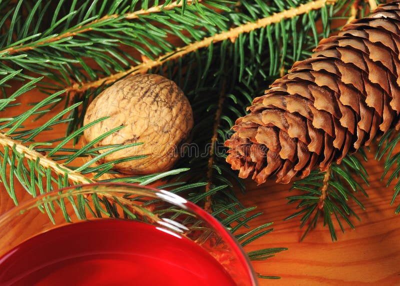 Walnut and Fir Tree Cone with Fir Tree Branch Stock Photo - Image of ...
