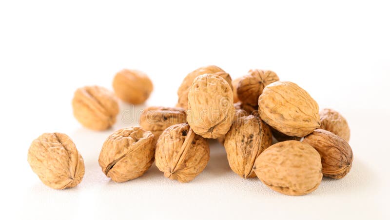 Walnut fruit isolated stock photo. Image of healthy - 201074370