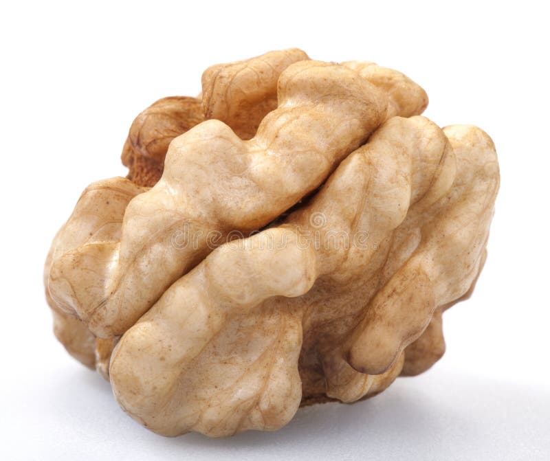 Walnut stock photo. Image of nutrition, open, pattern - 19133106