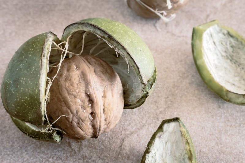 Walnuts in a Green Shell on the Table Stock Photo - Image of protein ...