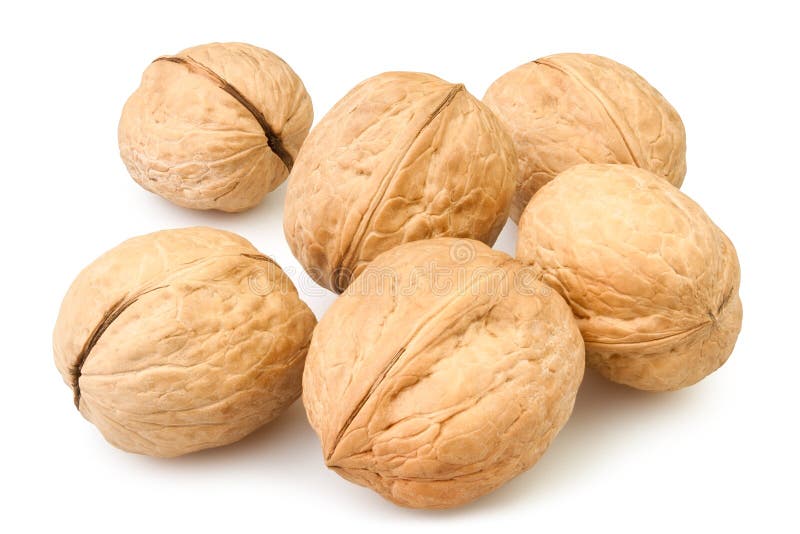 Walnut one stock image. Image of snack, healthy, nutrition - 33577345