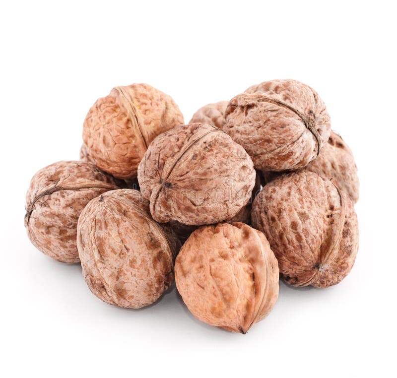 Walnut group isolated stock image. Image of brown, healthy - 21745703