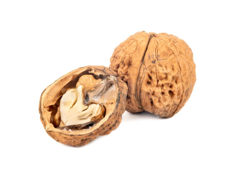 Walnut with Half Broken Walnut in White Background Stock Image - Image ...