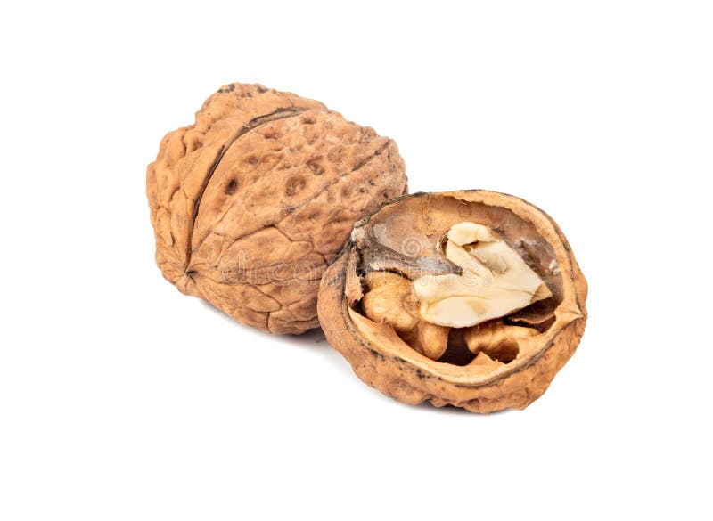 Walnut with half stock photo. Image of macro, background - 146394514