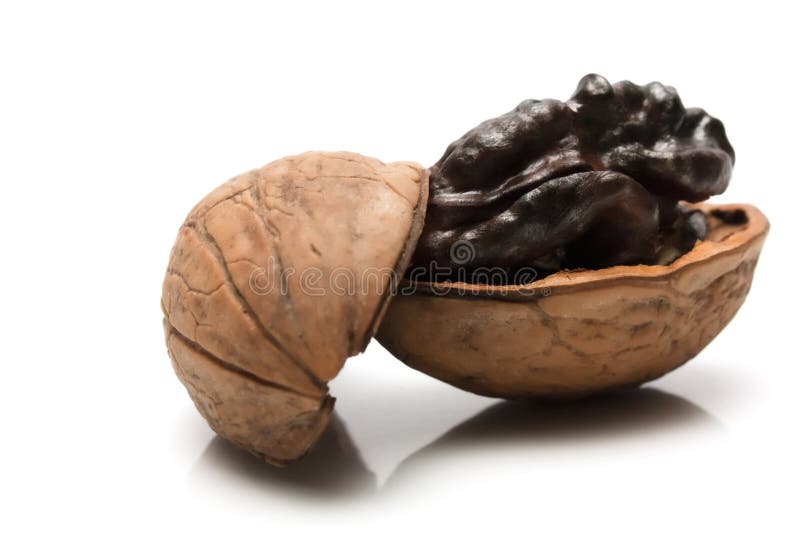 Walnut half shell stock photo. Image of snack, smash - 18626204