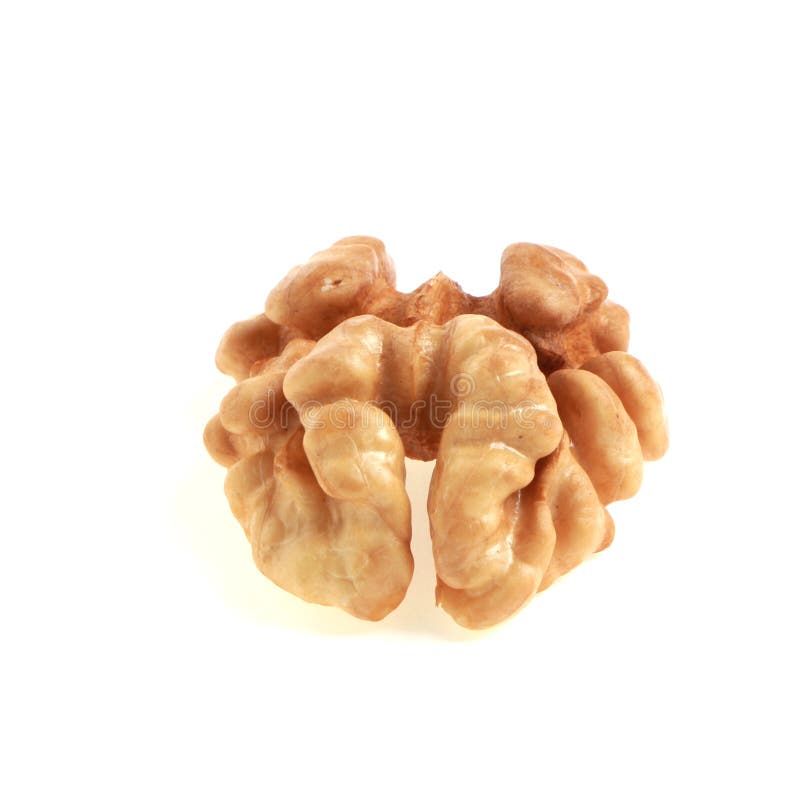 Walnut kernel macro stock photo. Image of ingredient - 34506296