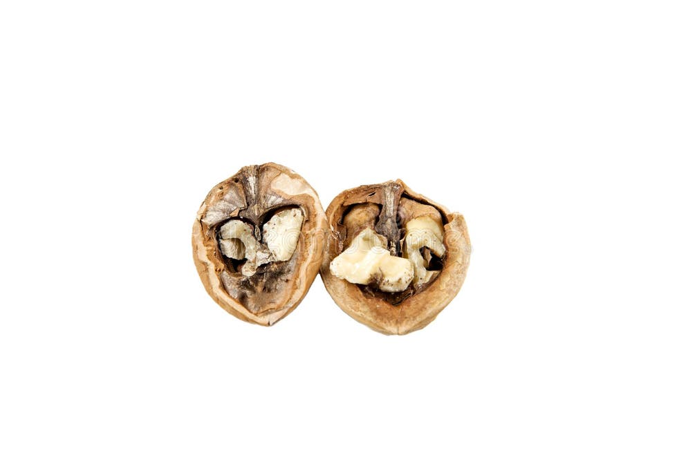 Walnut halves stock photo. Image of seed, hull, walnut - 37467638