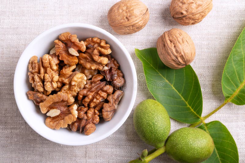 Walnut Halves, Shelled and Dried Kernels, in a White Bowl on Linen ...