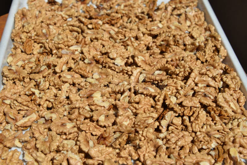 Peeled Walnut Kernels on a Tray Stock Image - Image of peeled ...