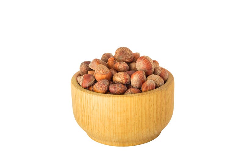 Nuts hazel in hand stock image. Image of macro, object - 108549083