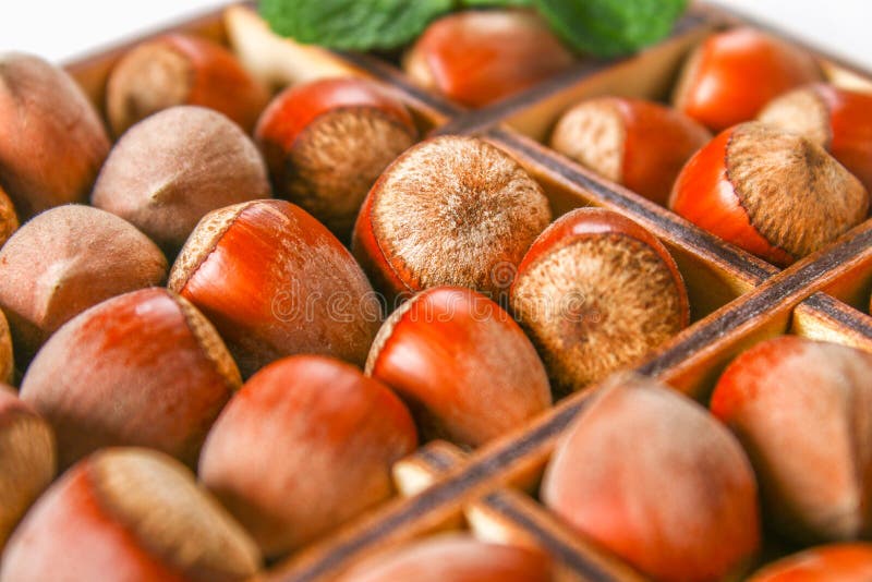 Walnut Hazelnuts in a Square Wooden Box with Dividers on a White Wooden ...