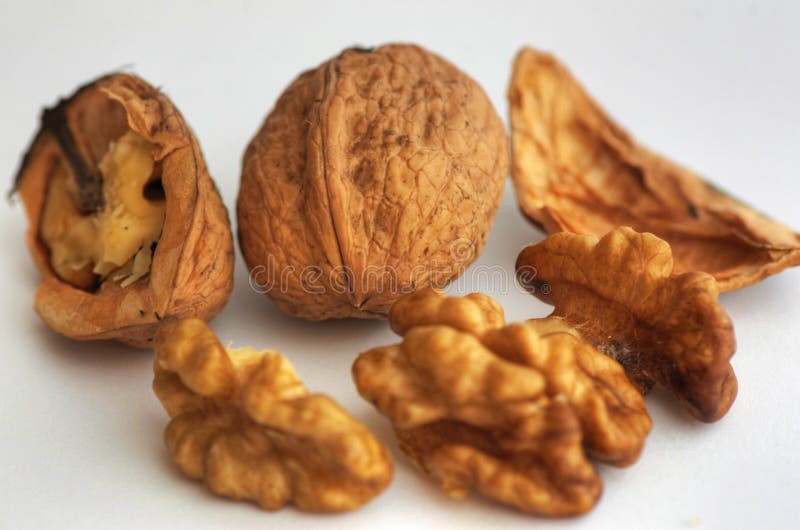 Walnut heap stock photo. Image of crack, micro, heap, snack - 7056034