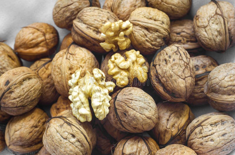 Walnut Heap Backgroung stock image. Image of dried, protein - 60472631