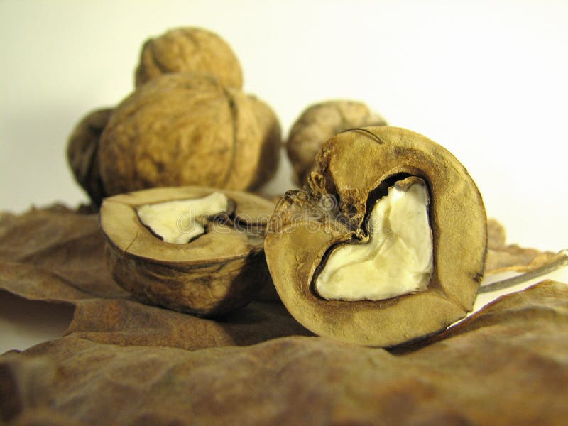 Walnut Heart stock image. Image of leaves, brown, market - 11966627