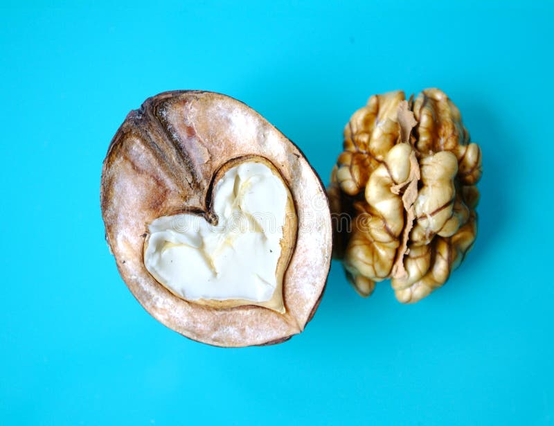 Walnut heart-shape stock photo. Image of natural, brown - 9862786