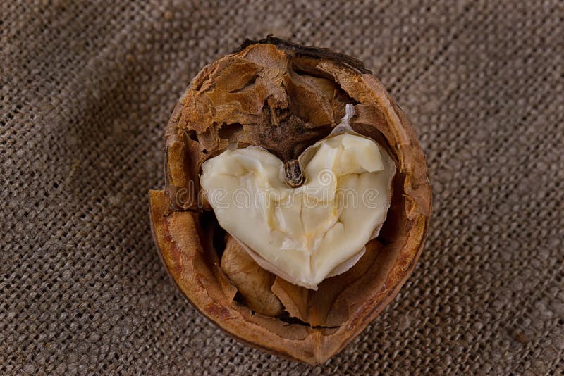 Walnut heart-shape stock photo. Image of natural, brown - 9862786
