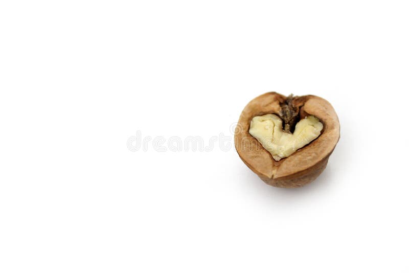 Walnut heart stock photo. Image of brain, symbol, feeling - 49107328