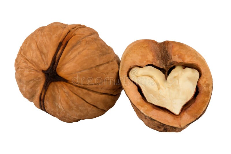 Walnut Heart Shape Stock Images - Download 1,610 Royalty Free Photos