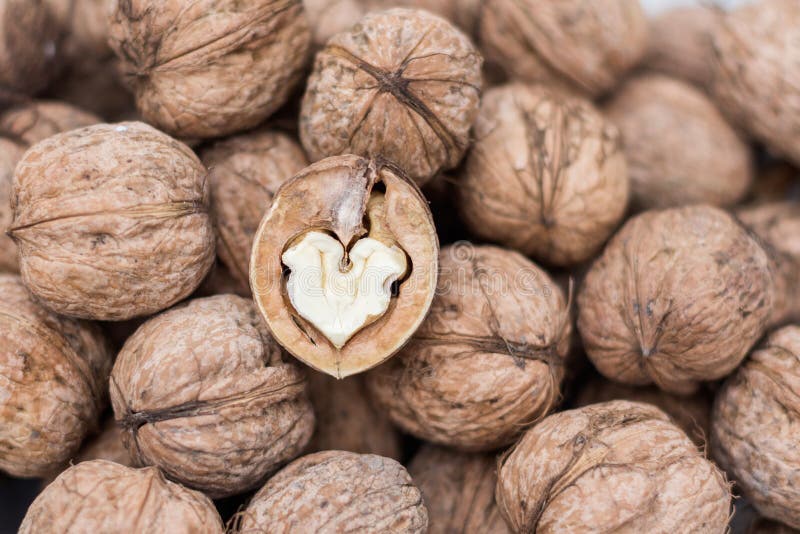 Walnut heart-shape stock photo. Image of natural, brown - 9862786