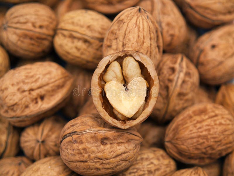 Walnut heart-shape stock photo. Image of natural, brown - 9862786