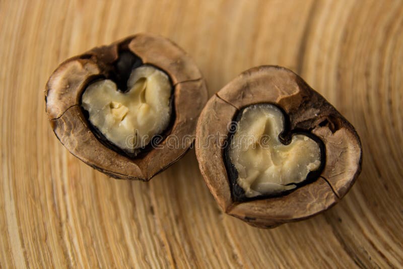Heart-shaped nut shell stock photo. Image of peel, fathers - 35553140