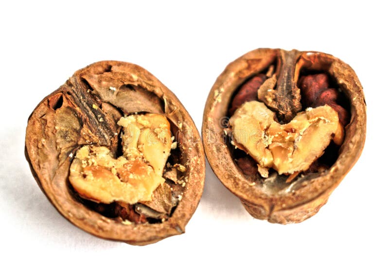 Walnut Hearts stock photo. Image of walnut, studio, shell - 85018932