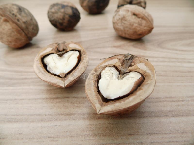 Walnut Hearts stock photo. Image of isolated, shell, background - 85018932