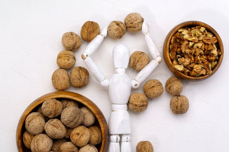 The Human Brain is Shaped Like a Walnut Kernel. Wooden Mannequin with ...
