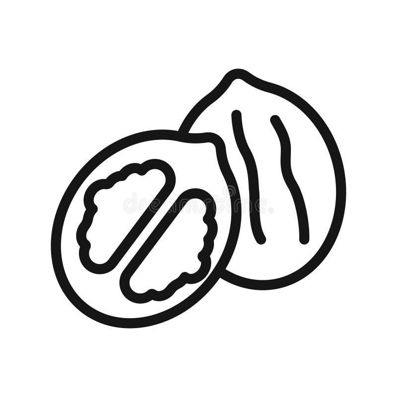 Walnut Icon Black Line Art Vector Logo Stock Vector - Illustration of ...