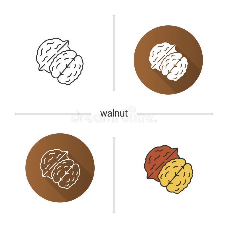 Walnut icon stock vector. Illustration of glyph, organic - 175336897